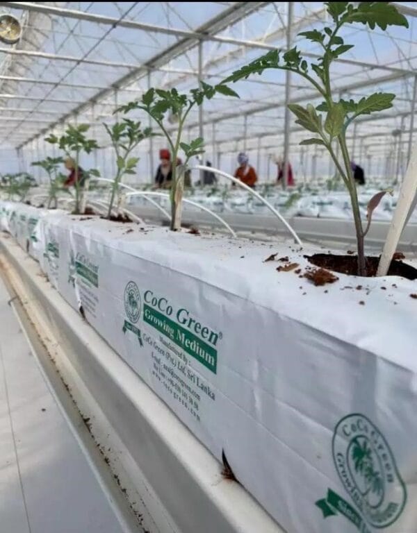 Coir Grow Bags – Coco Green